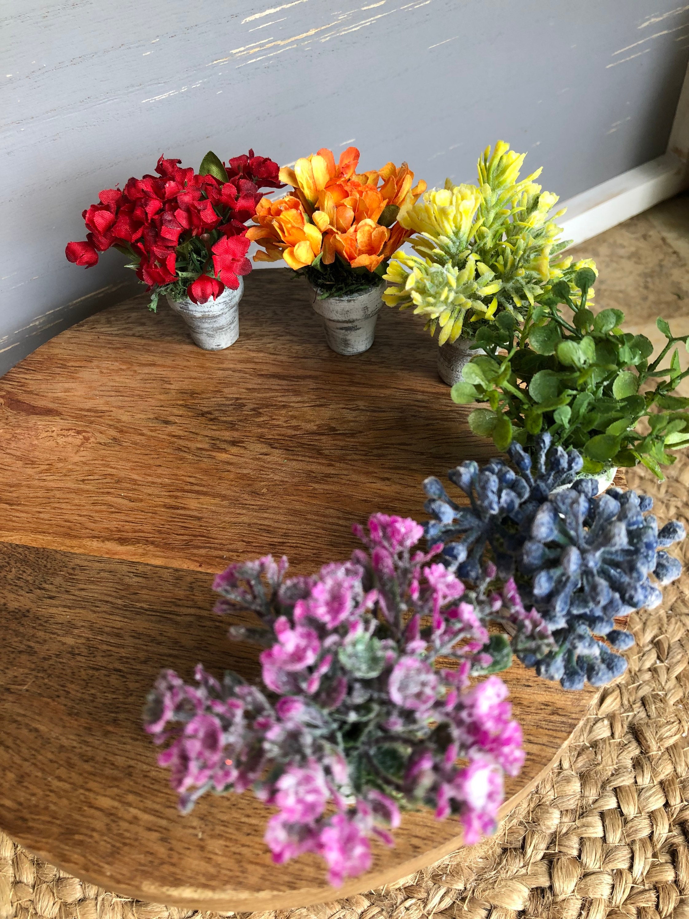 Tray Decor Mini Flower Pots Rainbow Colors | Etsy