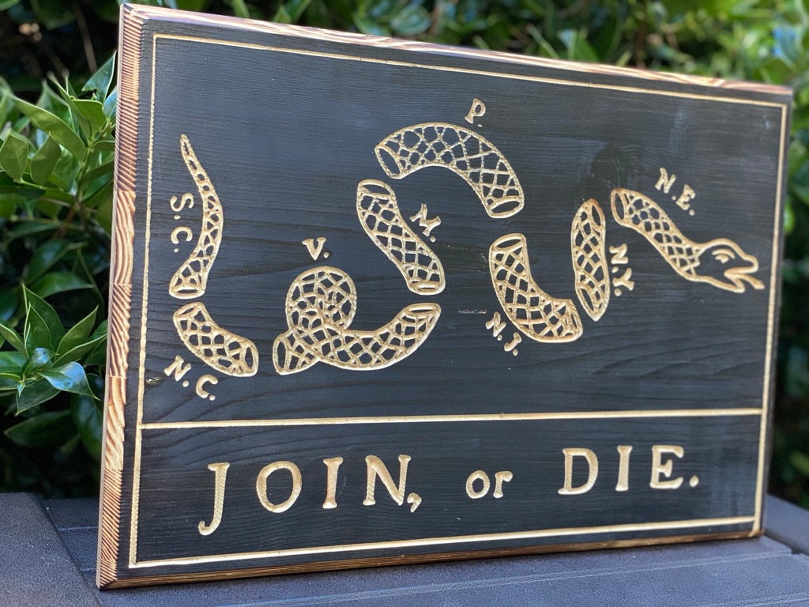 Join or Die wall hanging sign | Etsy