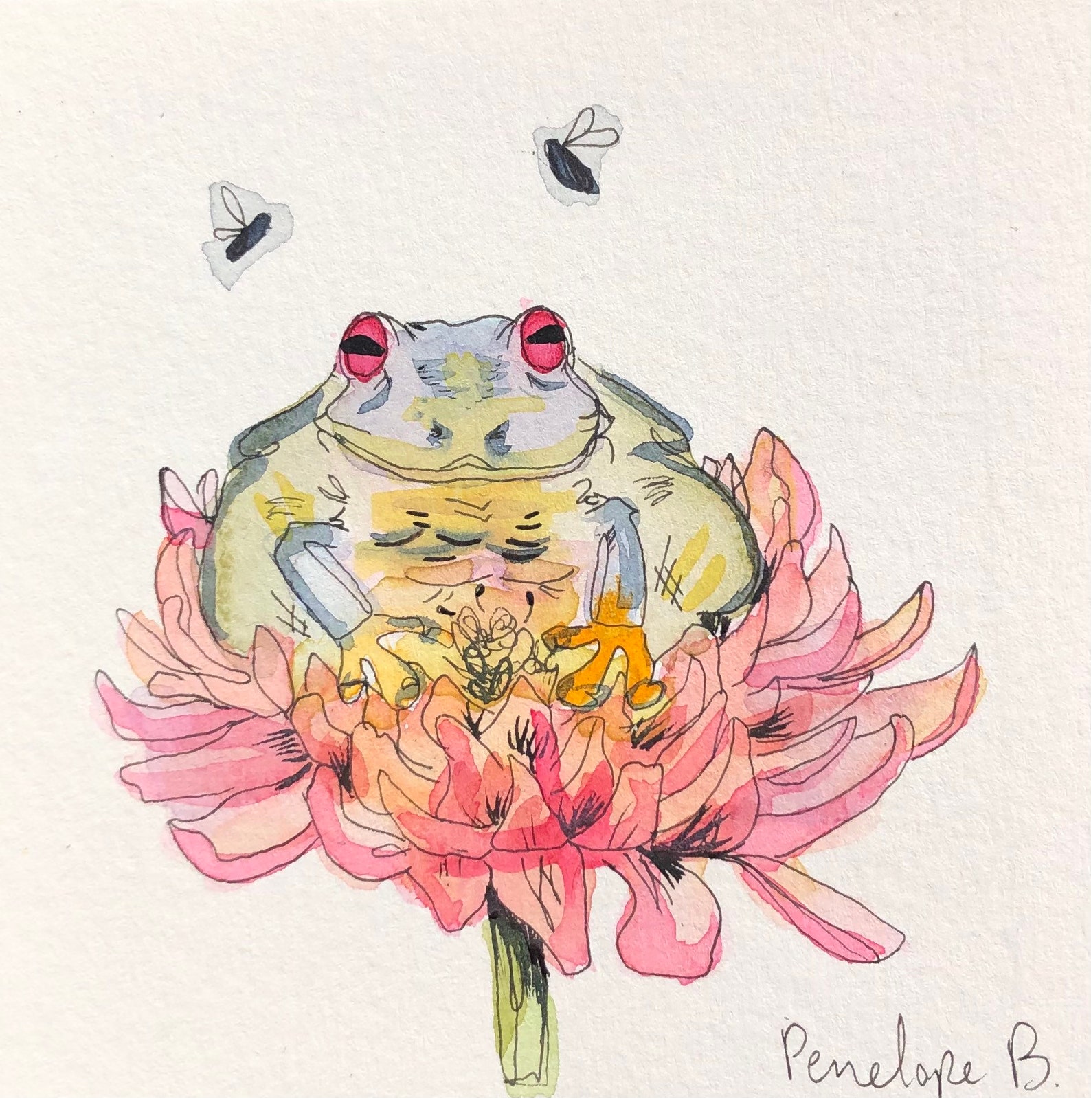 Mini Watercolor Paintings of Cute Frogs and Mushrooms | Etsy