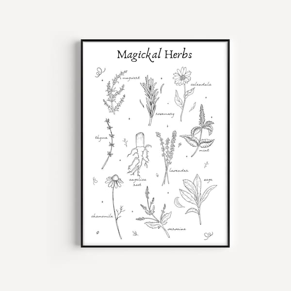 Herb Poster - Etsy