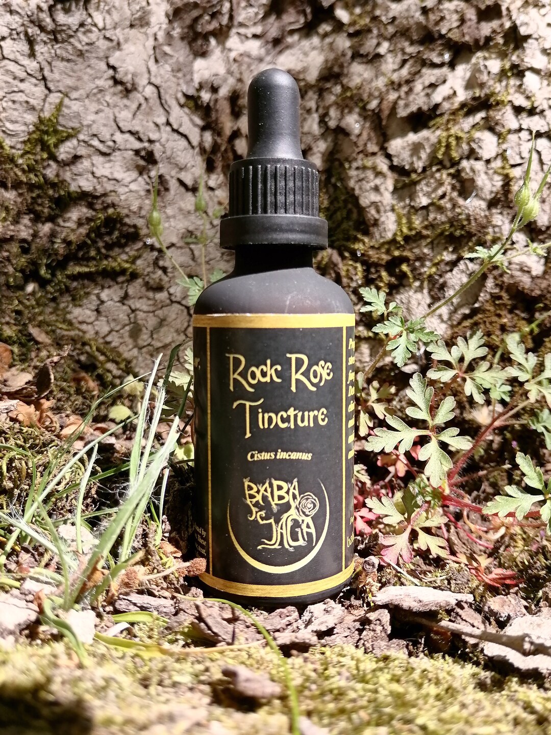 ROCK ROSE TINCTURE Herbal Elixir - Etsy