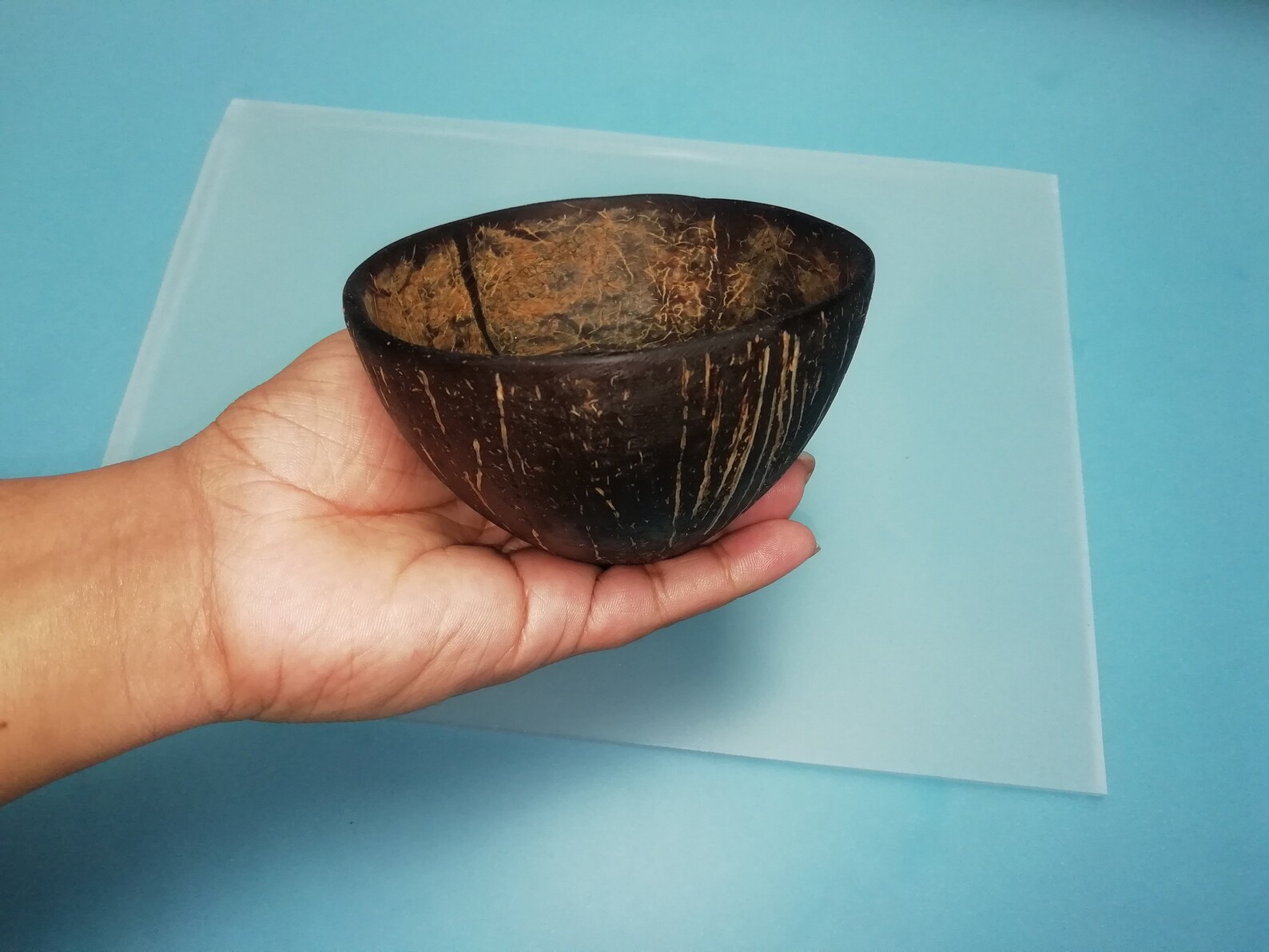 Coconut Shell Half - Coconut Shell Half Polished - Wholesale - for Craft Work - Etsy