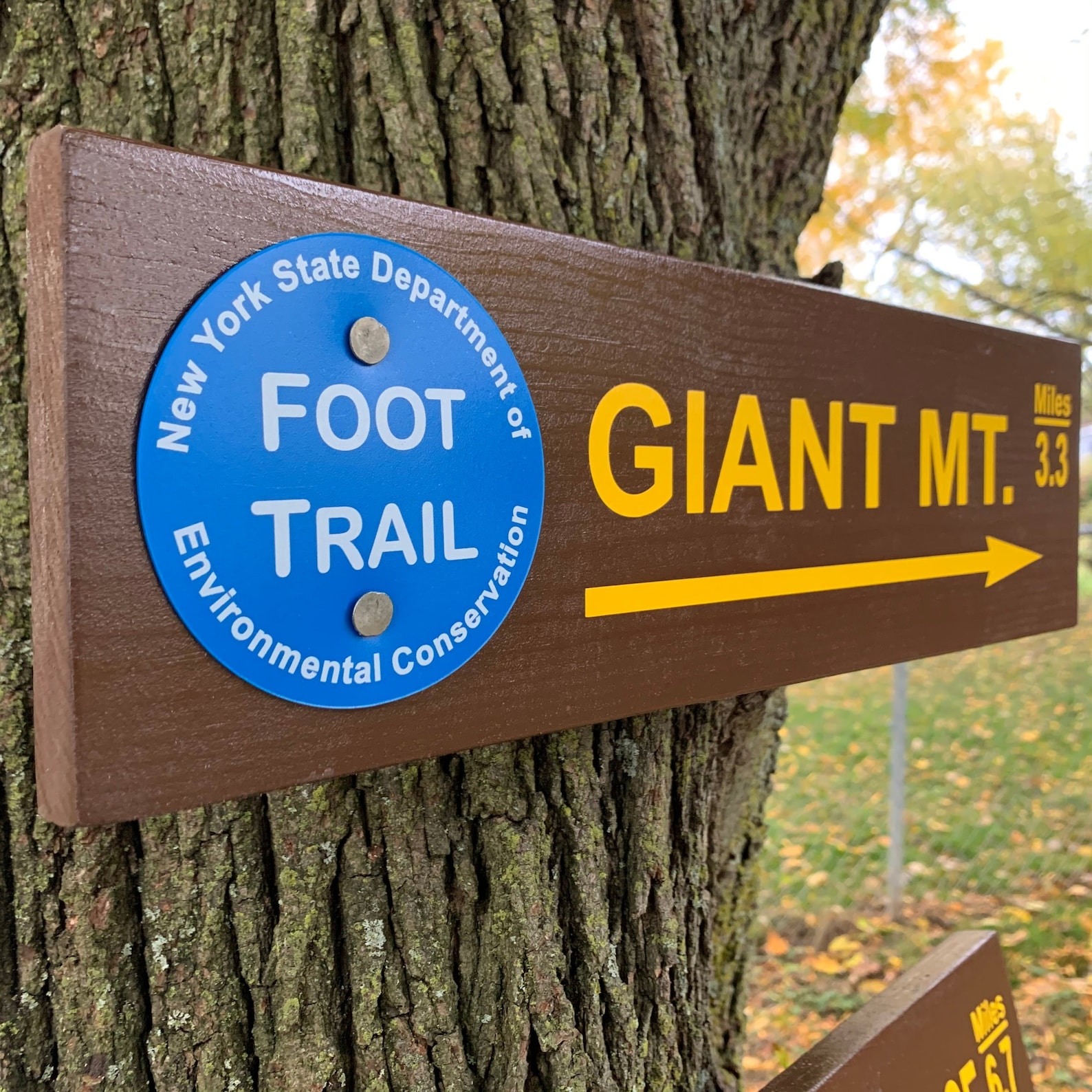 Adirondack Mountain Trail Sign - Etsy