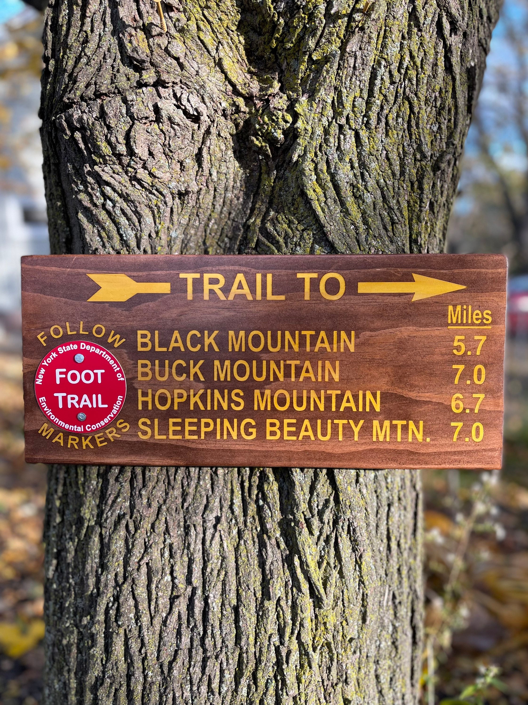 Rustic Adirondack Mountain Trail Head Sign - Etsy