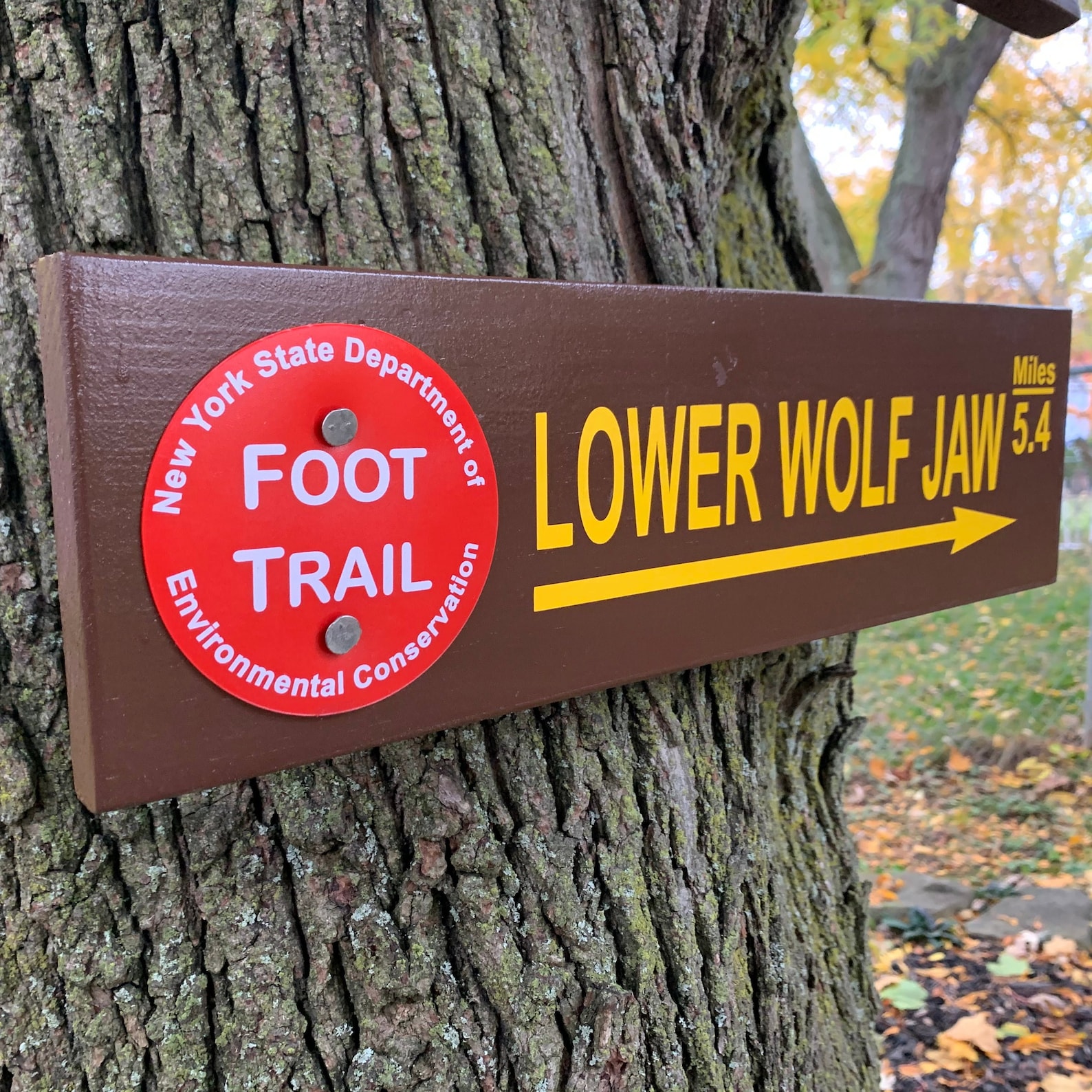 Adirondack Mountain Trail Sign - Etsy