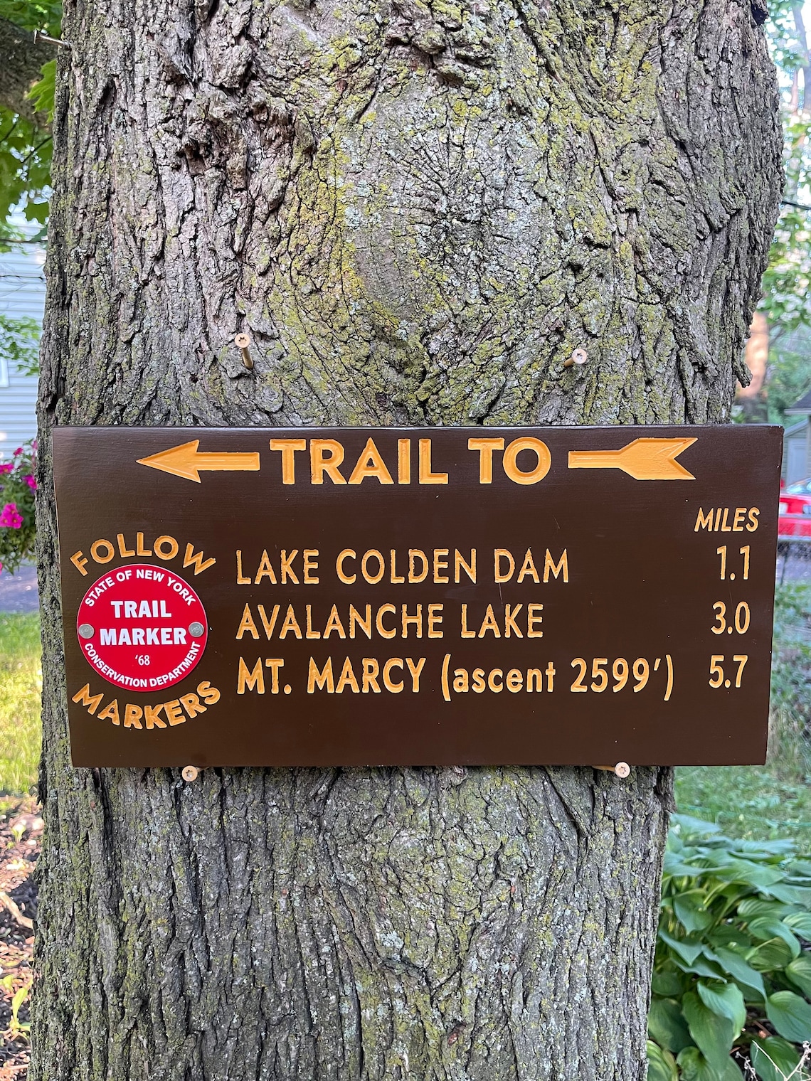 Adirondack Carved Trail Head Sign - Etsy