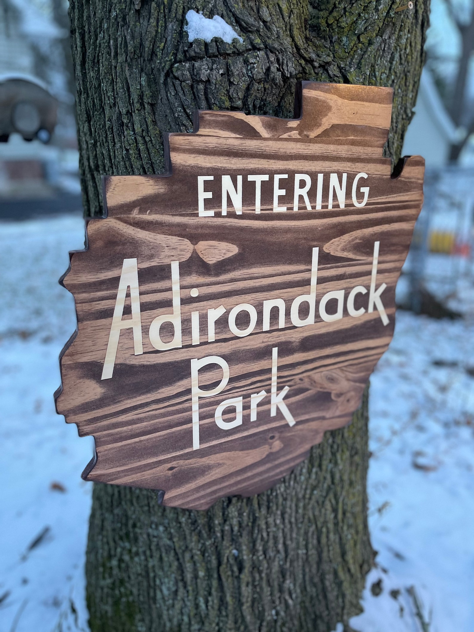 Adirondack Park Sign - Etsy