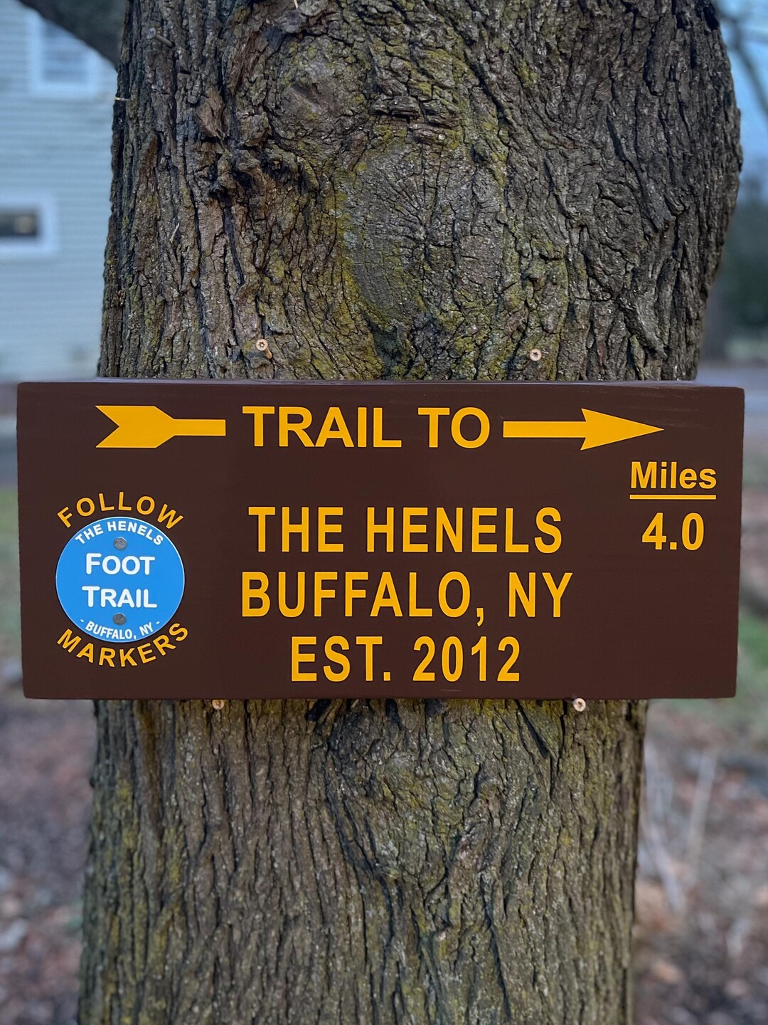 EXTERIOR Adirondack Mountain Trail Head or Trail Sign With Custom Disc ...