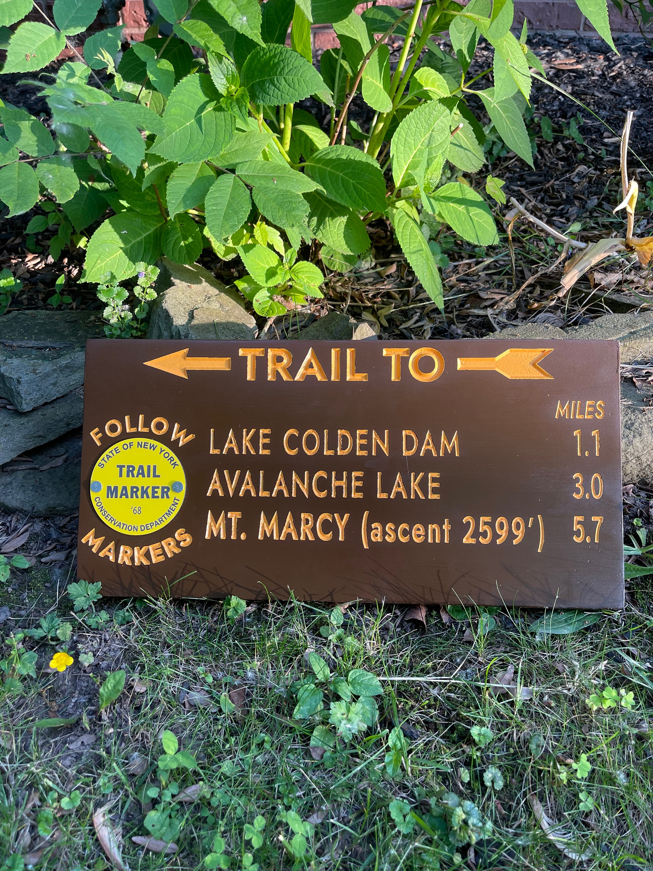 Adirondack Carved Trail Head Sign - Etsy