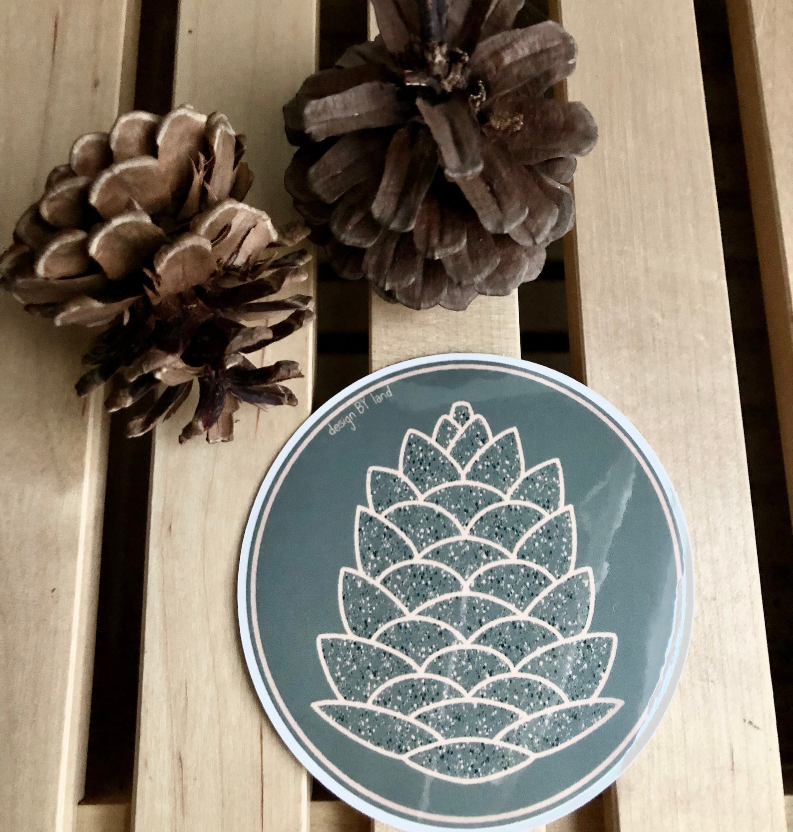 Pine Cone 3" Sticker | Pine Cone Sticker | 3" Sticker | Green Sticker ...