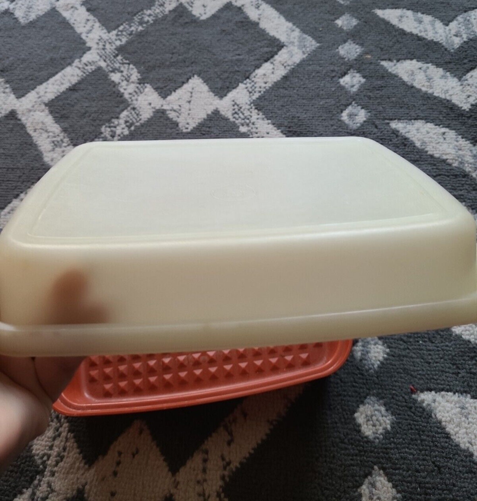 Vintage Tupperware Paprika Marinade Meat Tenderizer Keeper - Etsy