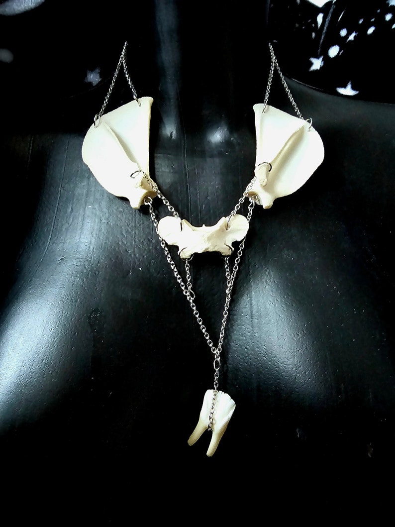 CREPUSCULAR: Fox Scapula Atlas Bones Necklace, Real Bones Jewelry ...