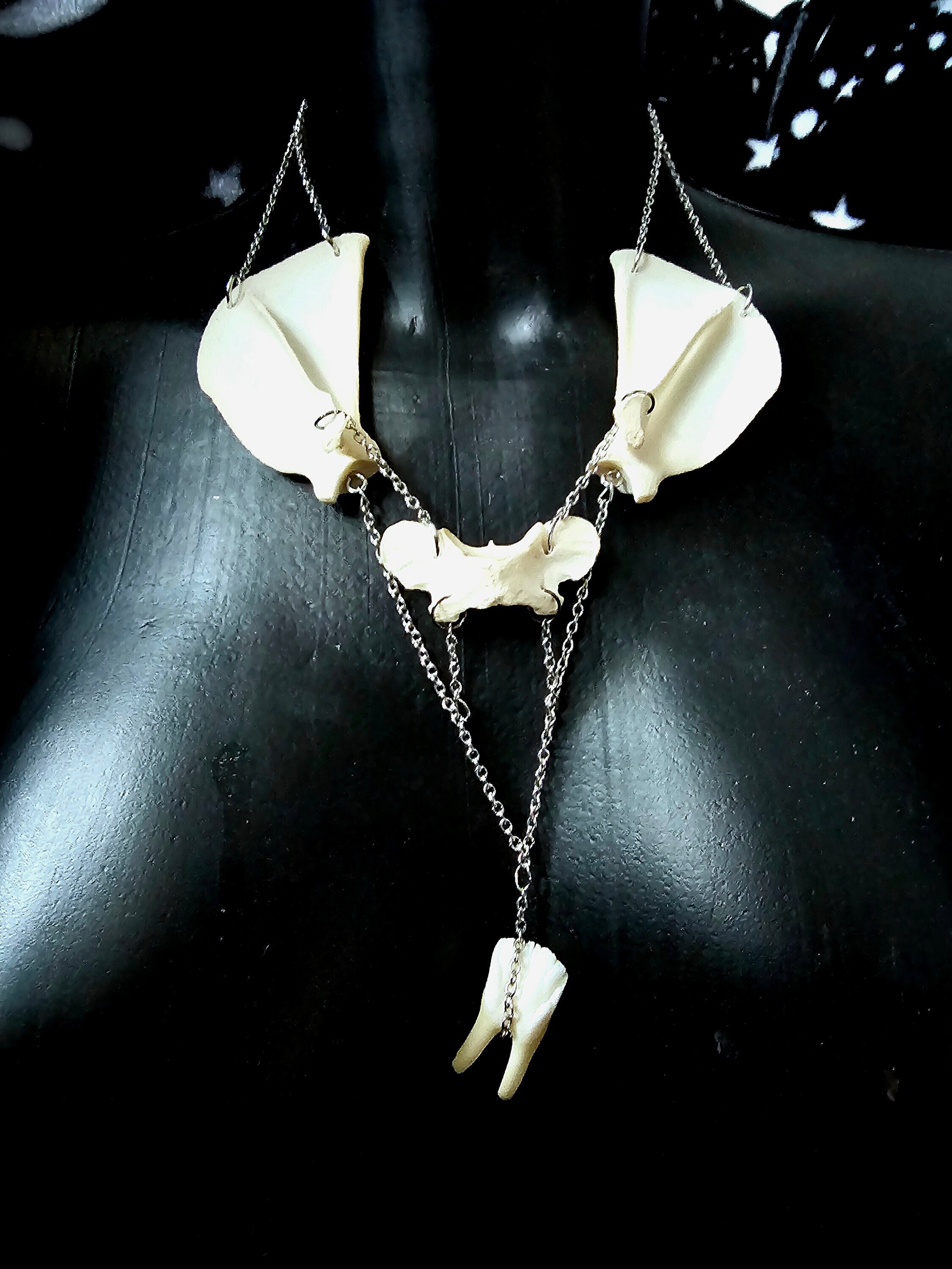 CREPUSCULAR: Fox Scapula Atlas Bones Necklace, Real Bones Jewelry ...