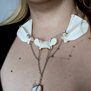 CREPUSCULAR: Fox Scapula Atlas Bones Necklace, Real Bones Jewelry ...