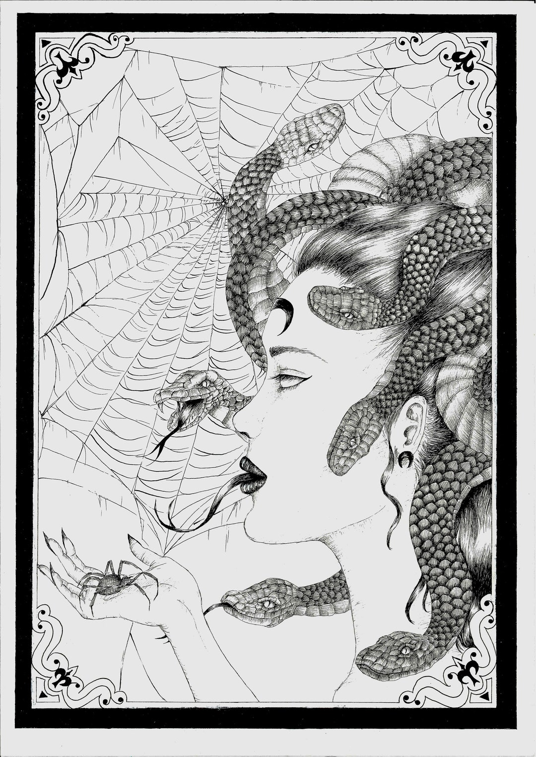 MEDUSA: Ink Pen Drawing of Medusa, Spider, Snake, Greek Mythology ...