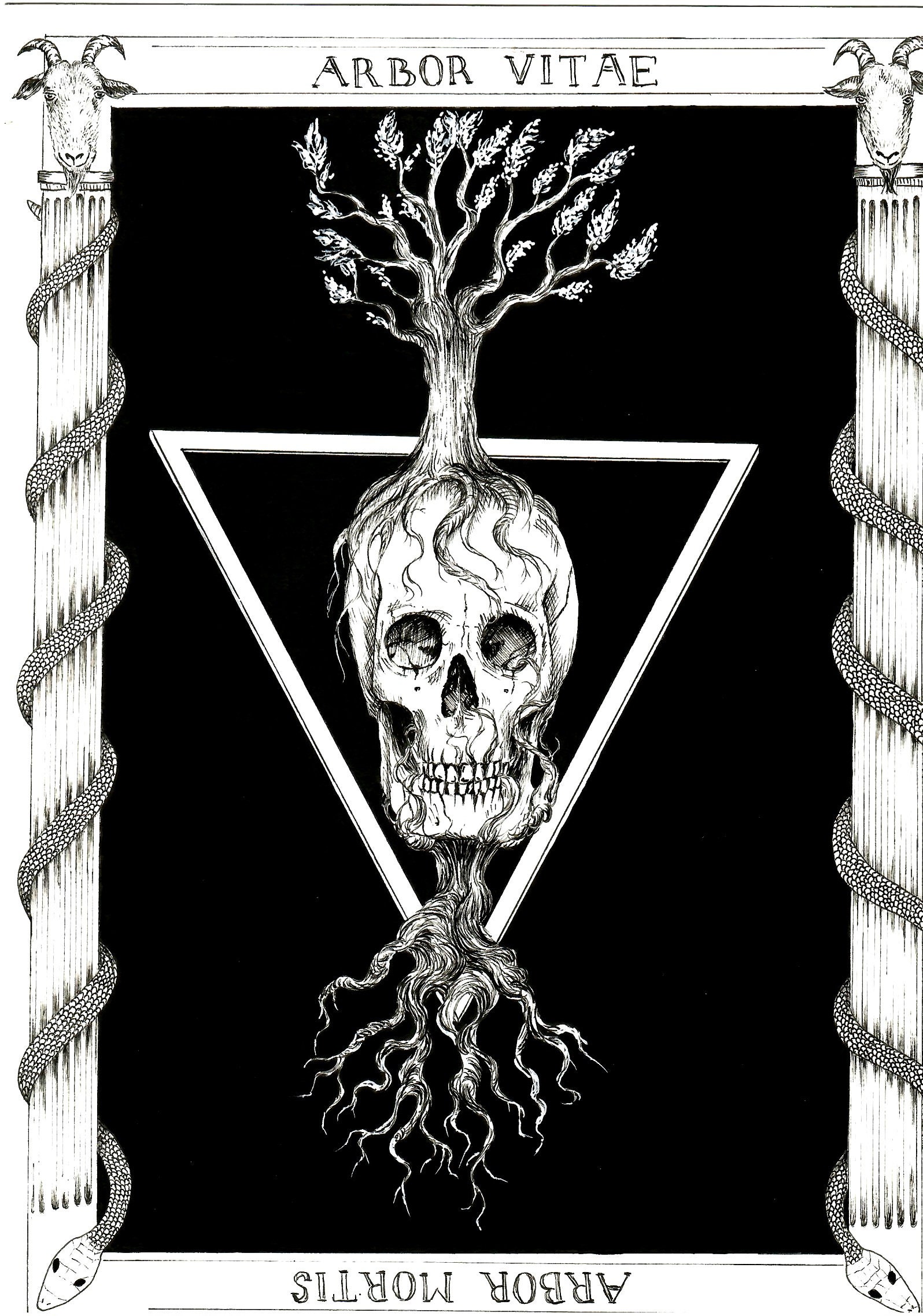 ARBOR MORTIS VITAE: Ink Drawing of the Tree of Life and Death ...