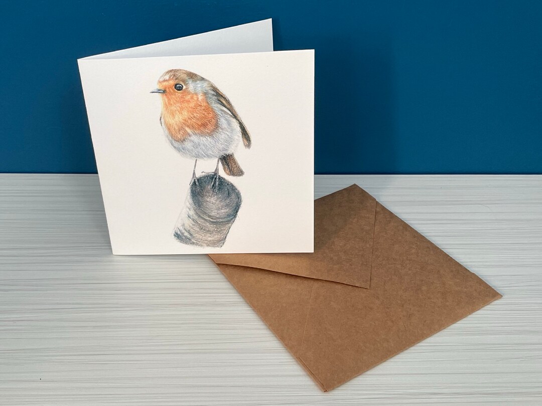 Robin, Greeting Cards, Blank Cards, Wildlife, Bird Card - Etsy
