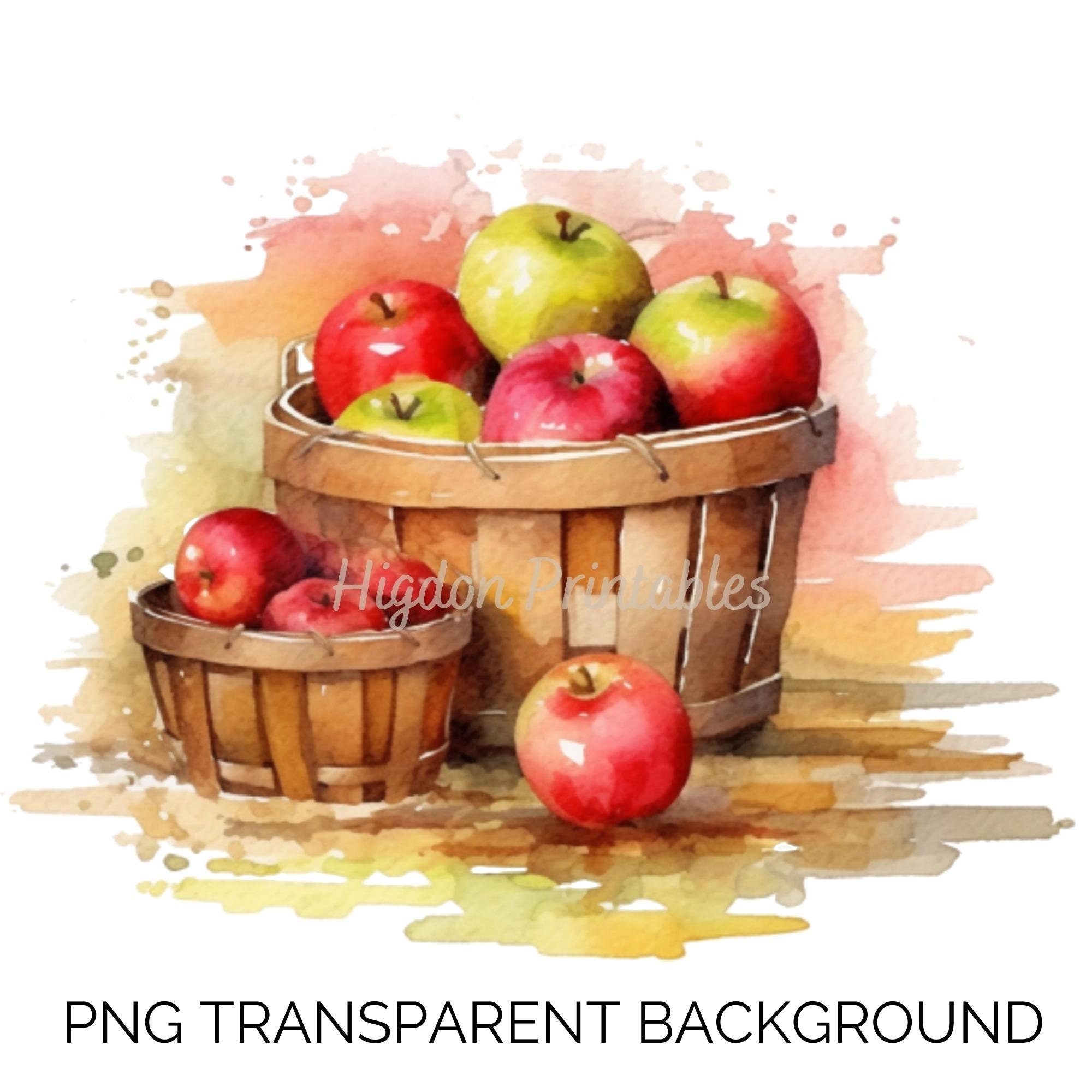 Apple Watercolor Clipart, Apple Clipart, Apple Png, Watercolor Art ...