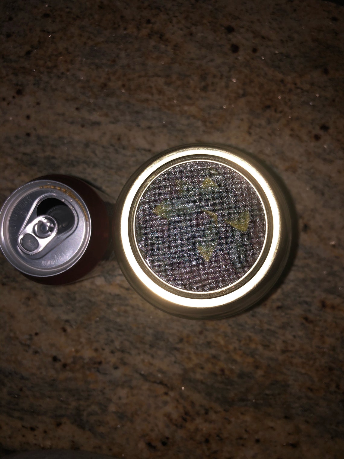 Insect Terrarium and Travel Carrier - Etsy