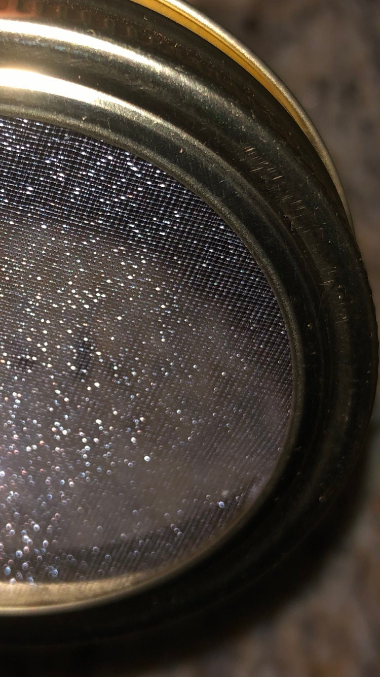 Insect Terrarium and Travel Carrier - Etsy