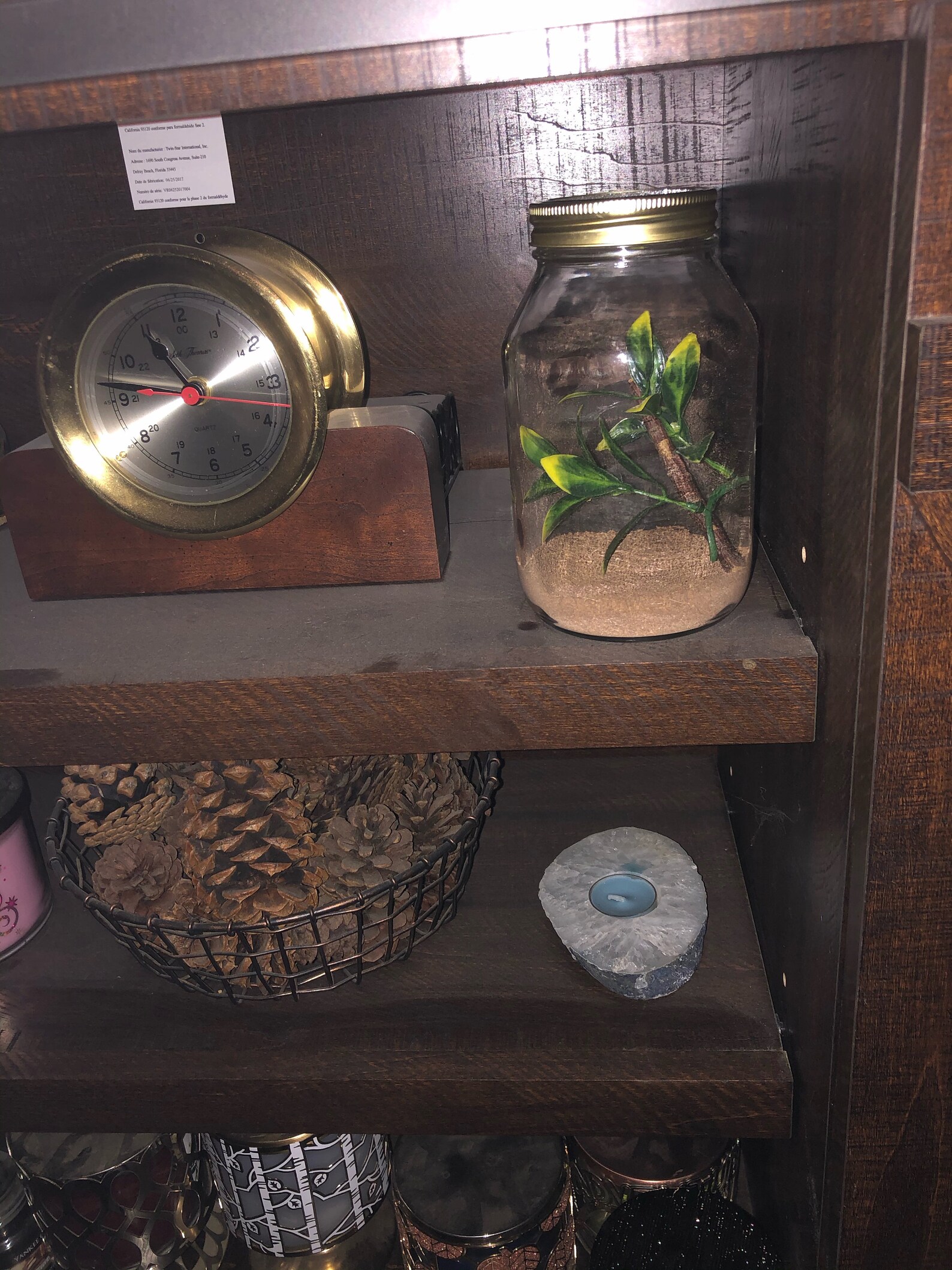 Insect Terrarium and Travel Carrier - Etsy