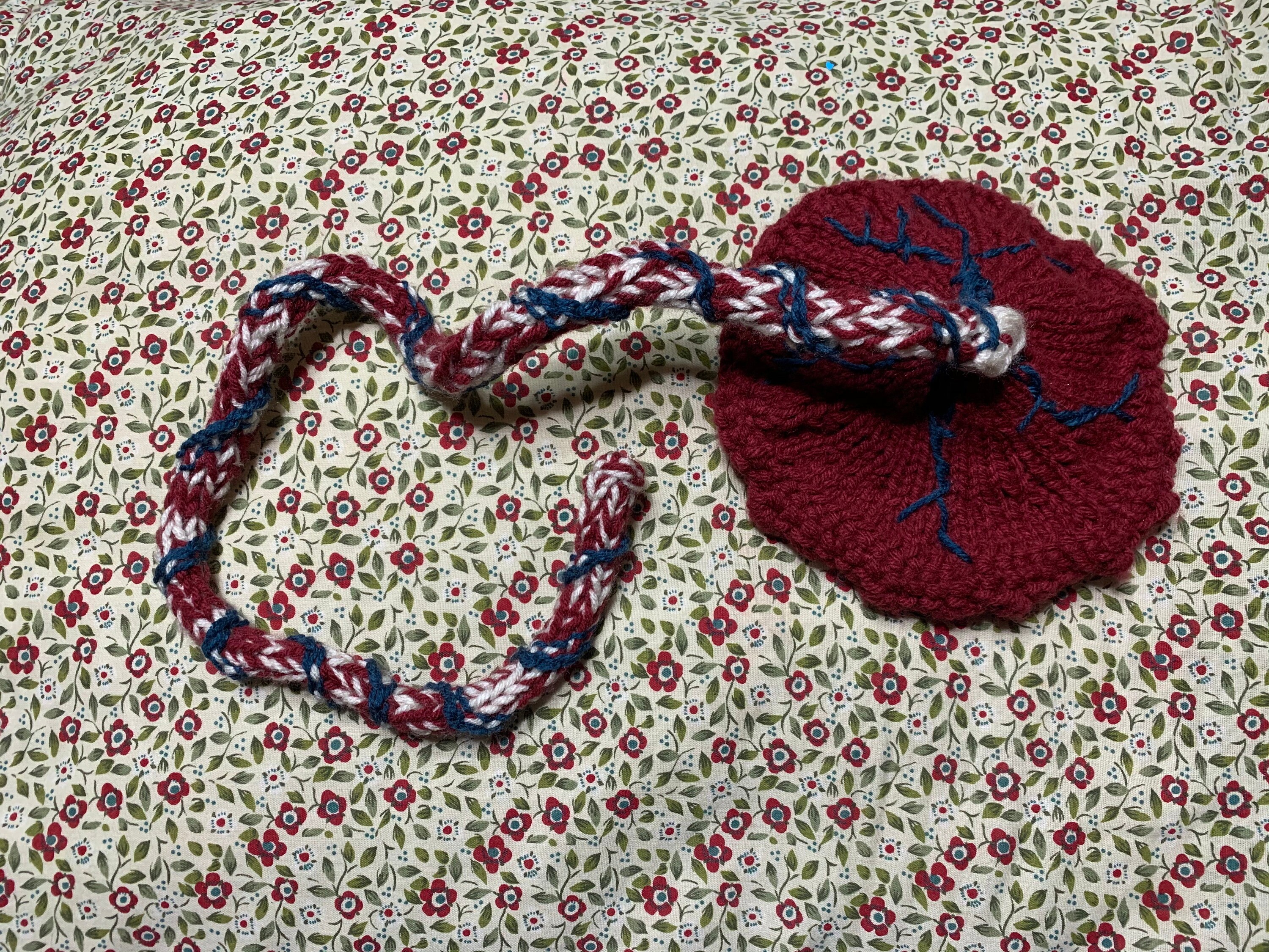 Anatomical Placenta Model - Etsy