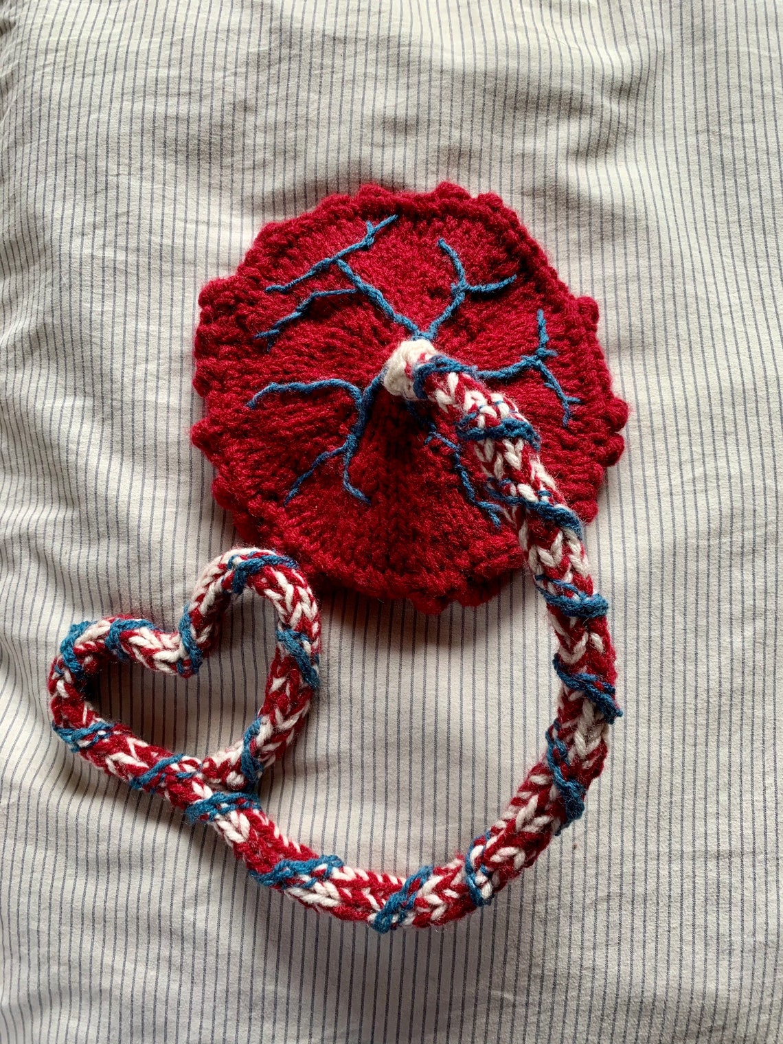 Anatomical Placenta Model - Etsy