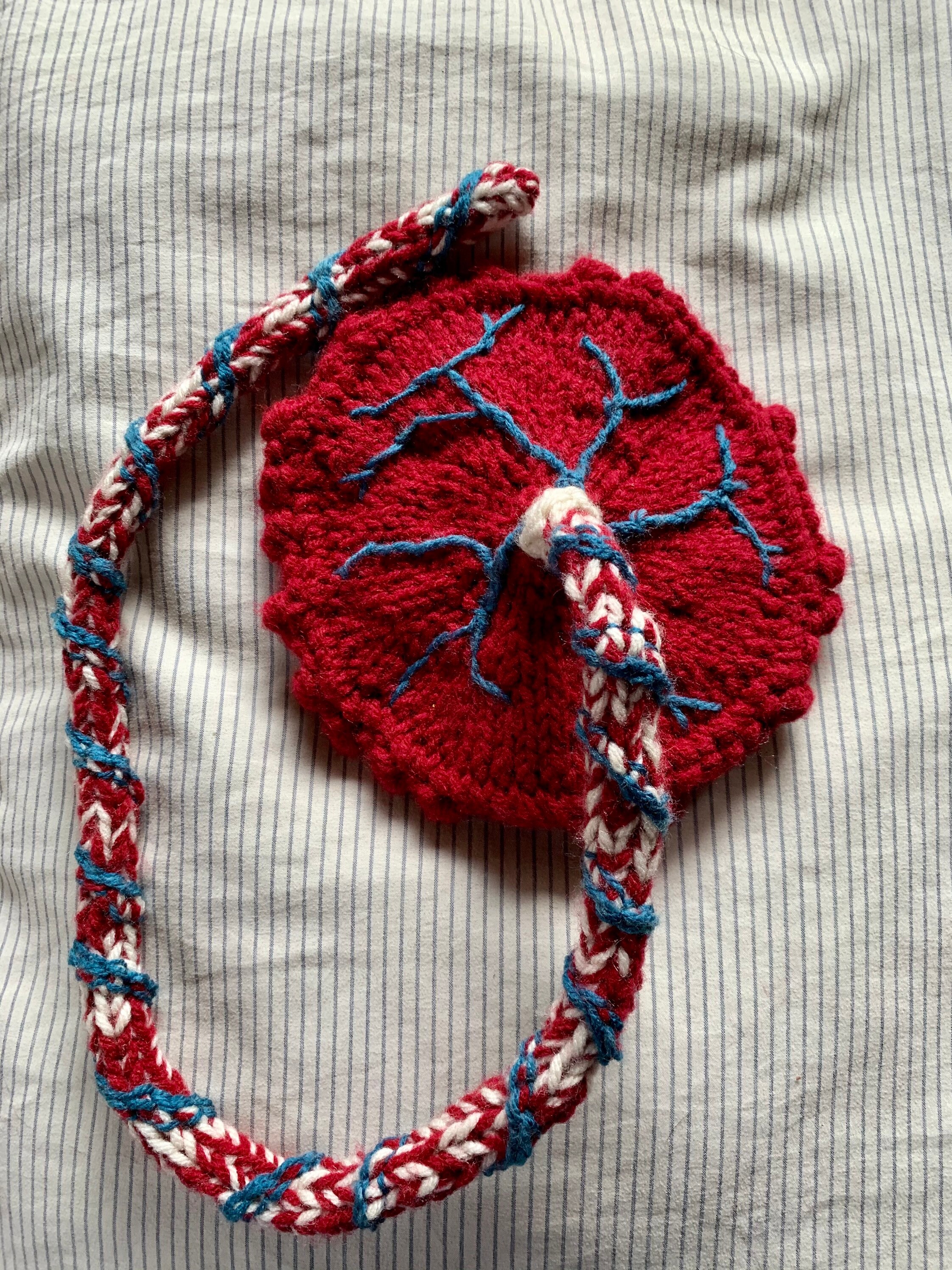 Anatomical Placenta Model - Etsy