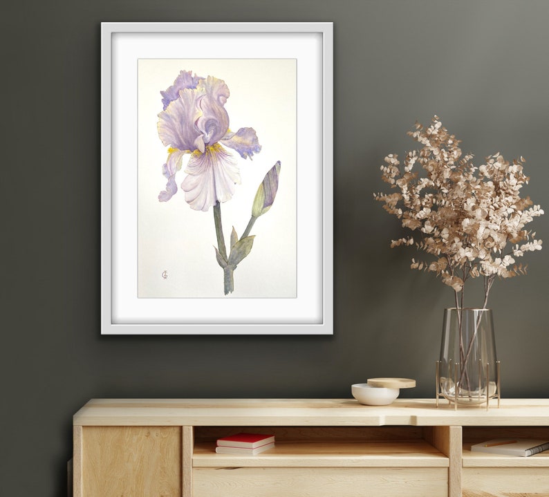 Amazing Floral Iris Flower Watercolor A3 Size Painting valse - Etsy