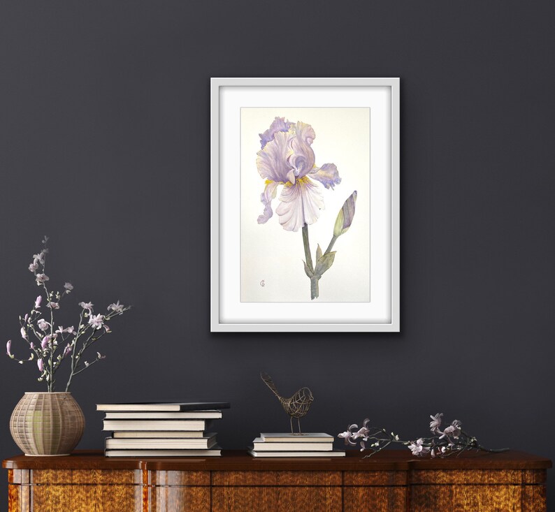 Amazing Floral Iris Flower Watercolor A3 Size Painting valse - Etsy
