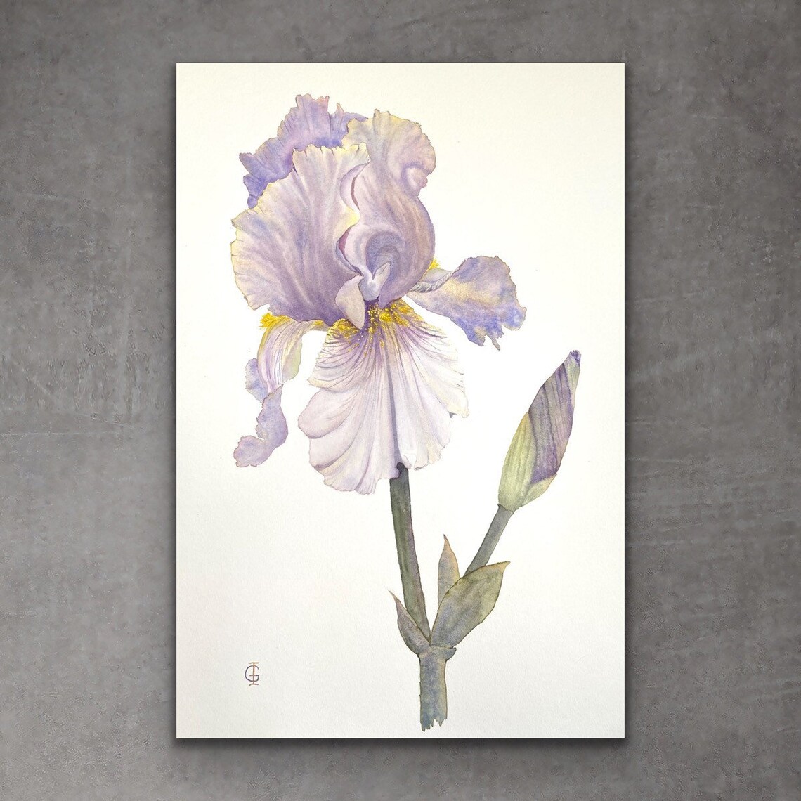 Amazing Floral Iris Flower Watercolor A3 Size Painting valse - Etsy