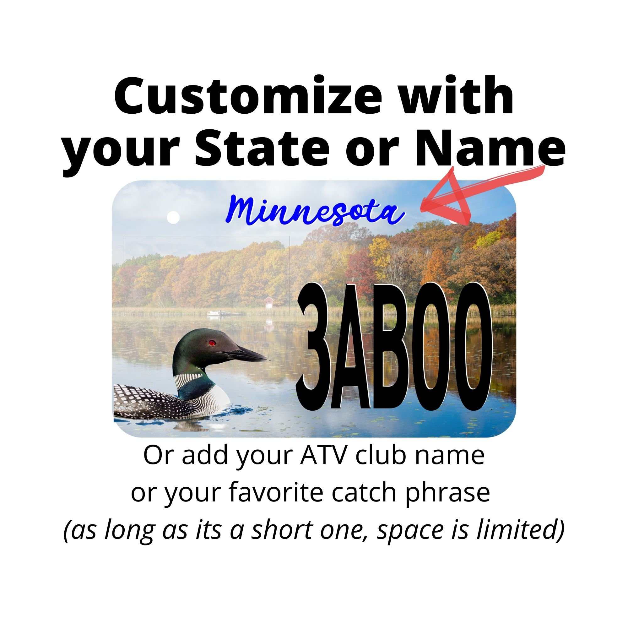 Minnesota Loon ATV Plate, Personalized ATV License Plate, Minnesota UTV ...