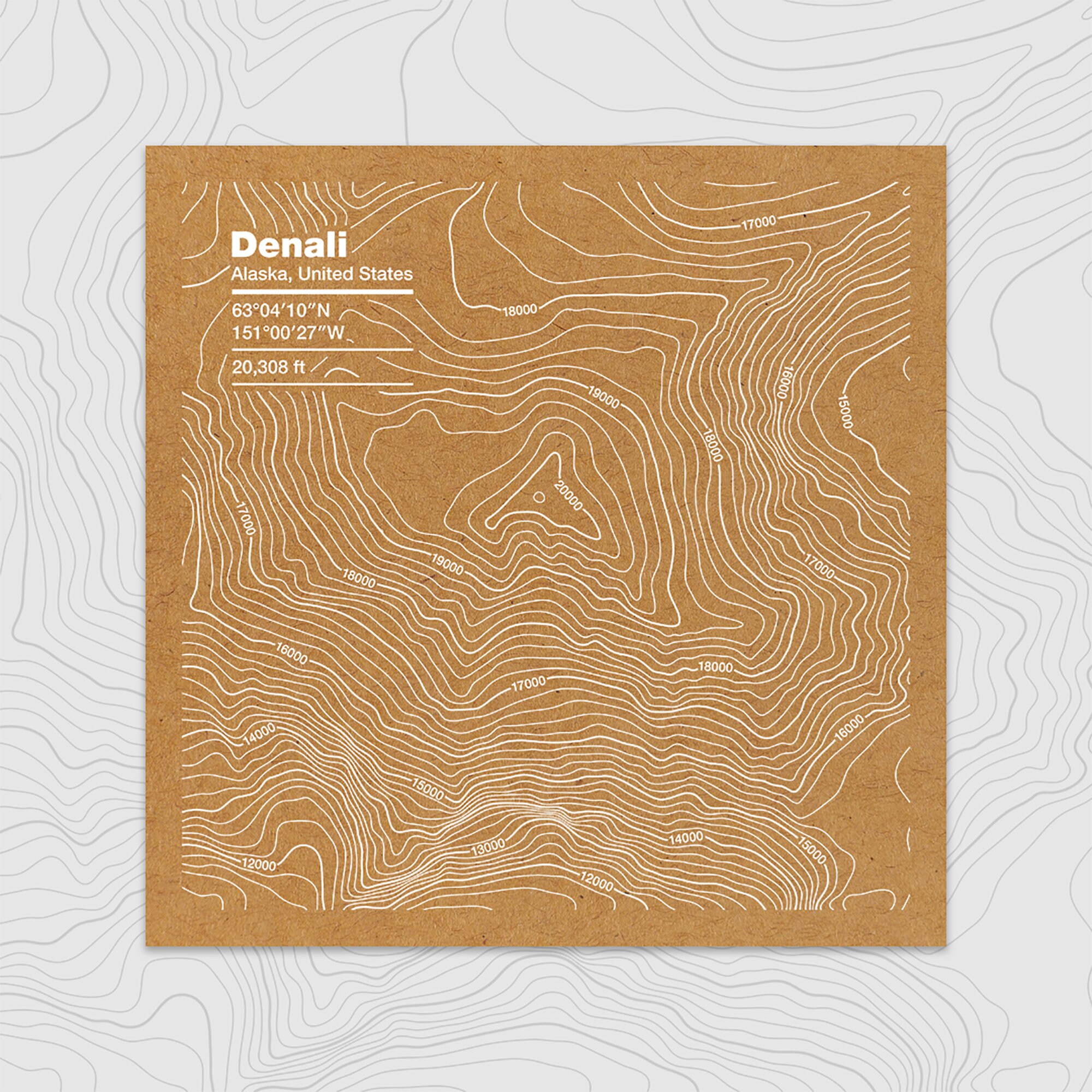 Denali Alaska Topographic Map Screen Printed Poster - Etsy