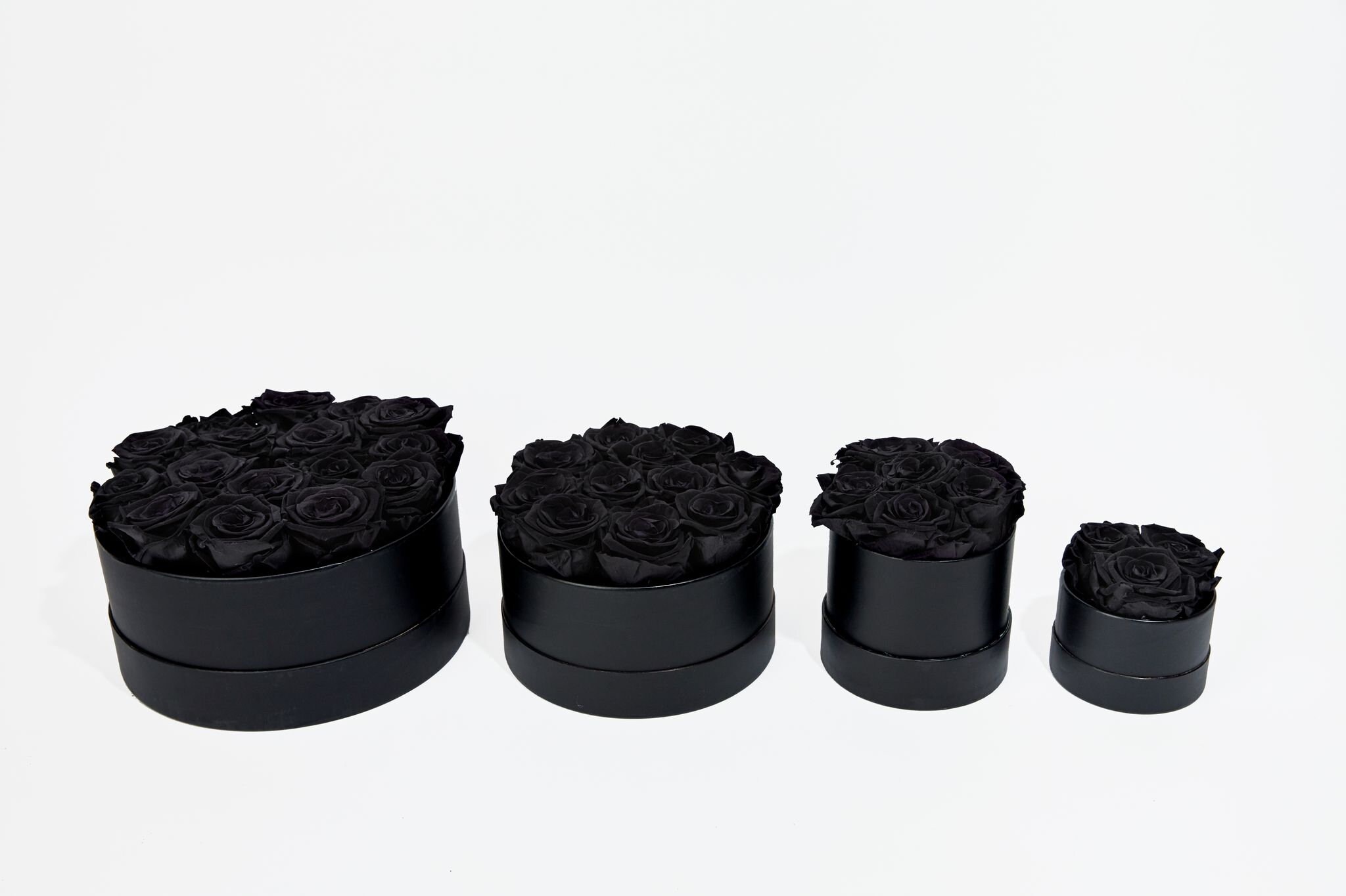 Preserved Black Roses - Etsy