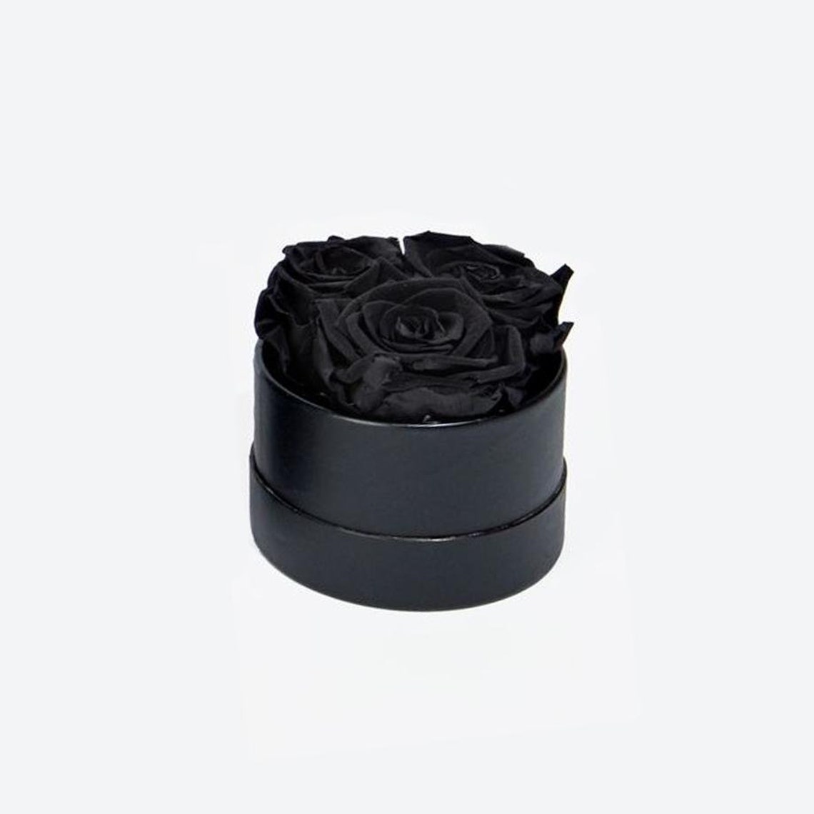 Preserved Black Roses - Etsy