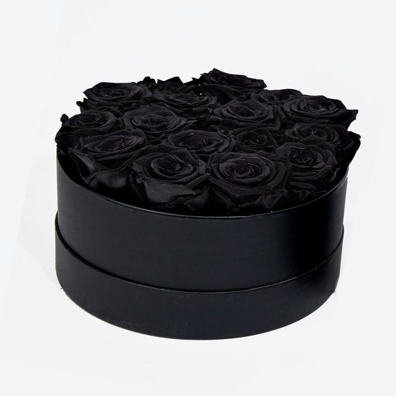 Preserved Black Roses - Etsy