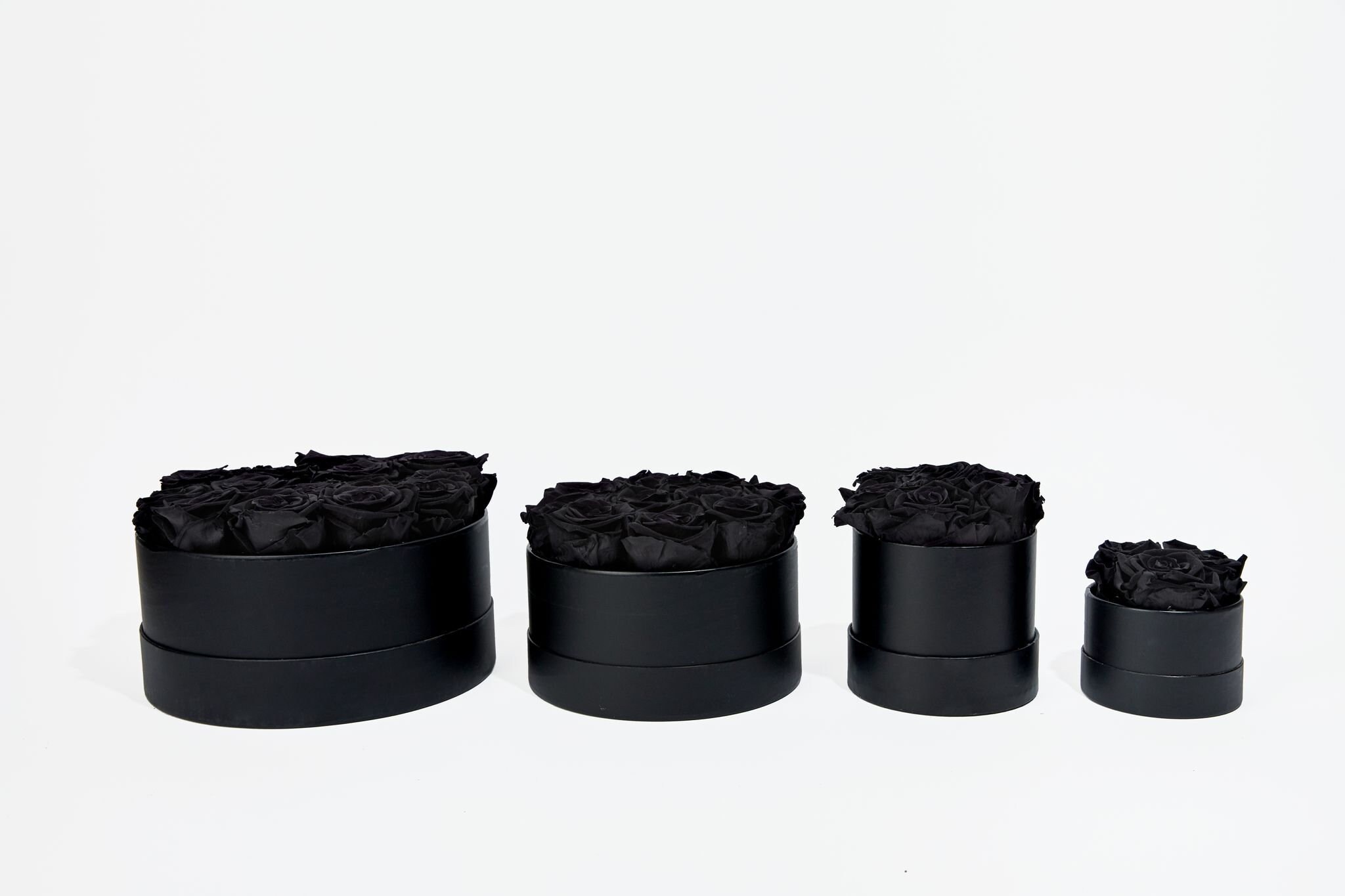 Preserved Black Roses - Etsy