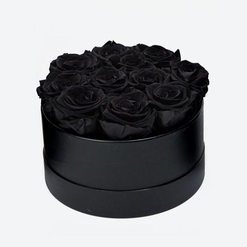 Preserved Black Roses - Etsy