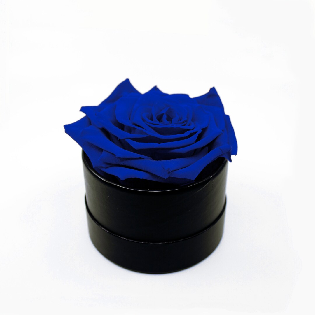 Preserved Royal Rose in Box | Extra-large Single Rose - Etsy