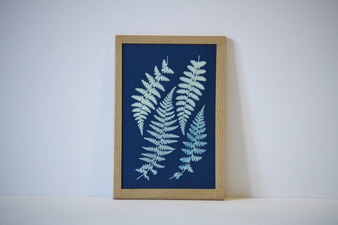 Cyanotype Mini Framed Ferns Printing Cyanotype Botanical - Etsy