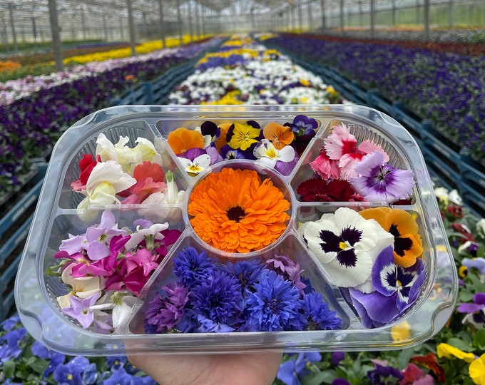 Edible Fresh Flower Westlands Wheel - Etsy UK