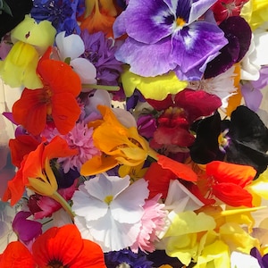 Edible Mixed Fresh Flower Punnet 20g - Etsy UK