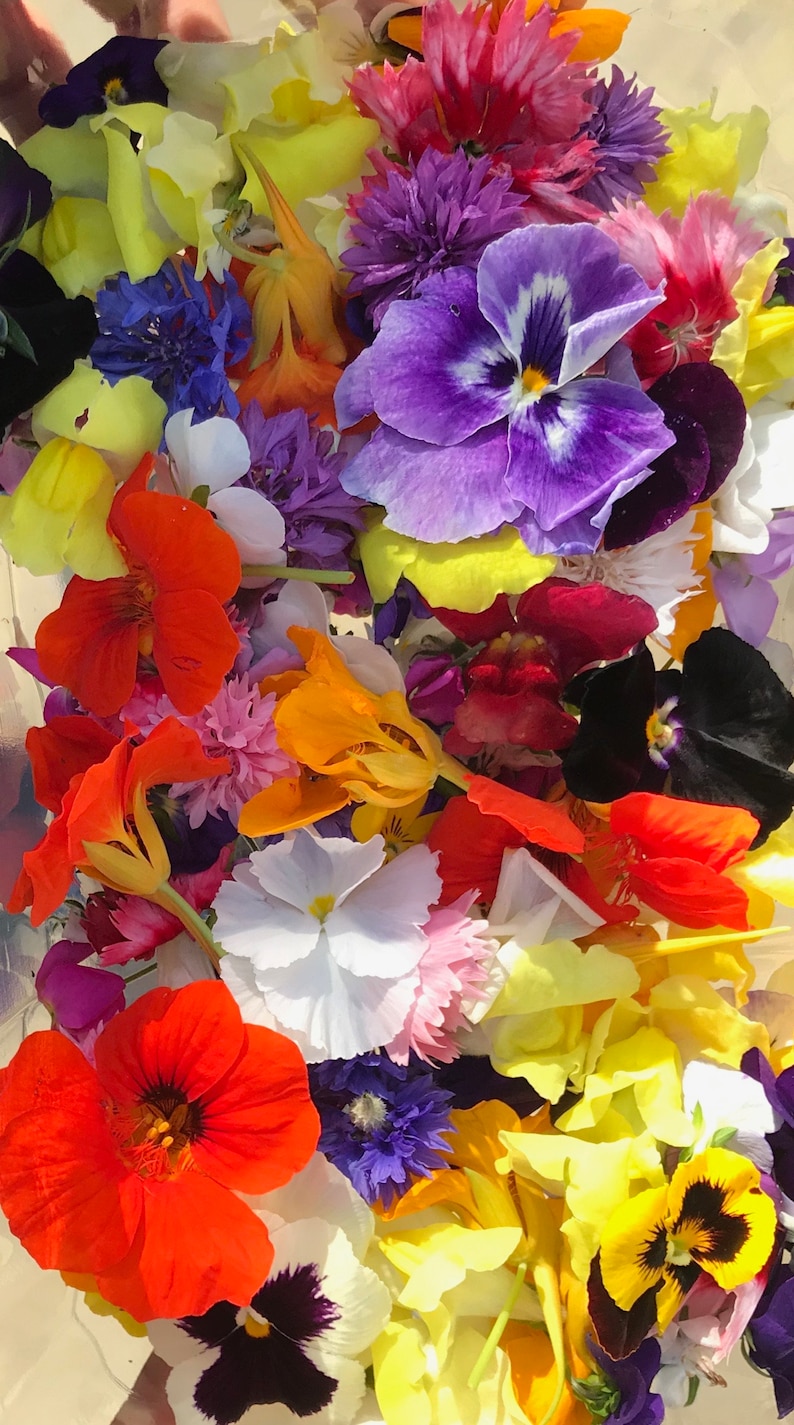 Edible Mixed Fresh Flower Punnet 20g - Etsy UK