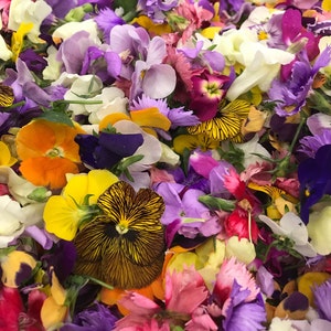 Edible Mixed Fresh Flower Punnet 20g - Etsy UK