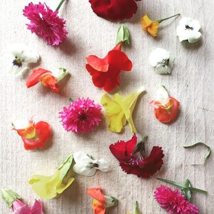 Edible Mixed Fresh Flower Punnet 20g - Etsy UK