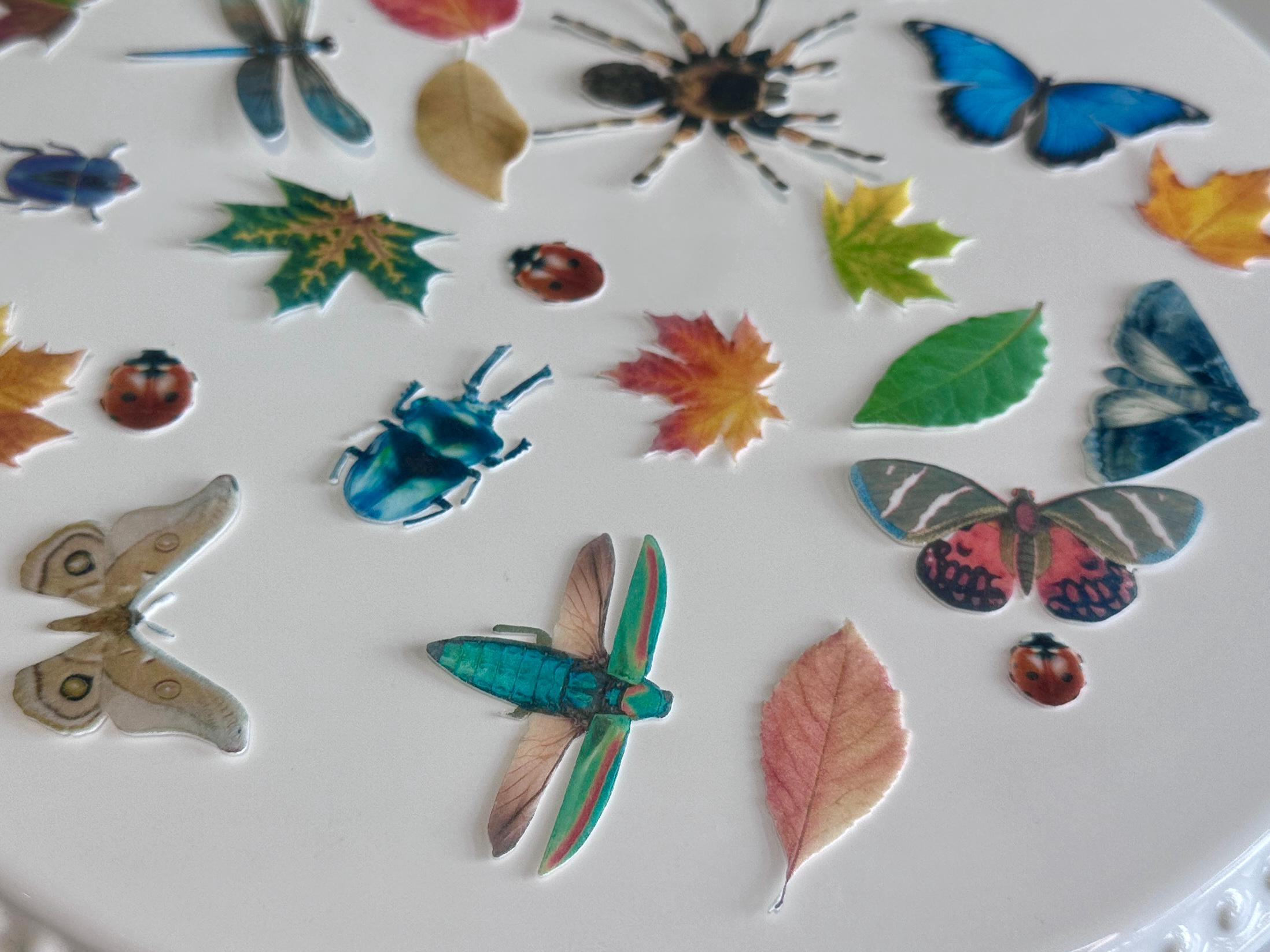 Edible Creepy Crawlies Wafer Topper - Garden Bugs, Moths, Spiders ...