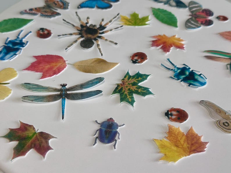Edible Creepy Crawlies Wafer Topper - Garden Bugs, Moths, Spiders ...