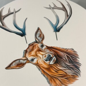 Stag Wafer Topper - Edible Cake Decorations - Birthday, Anniversary - Etsy