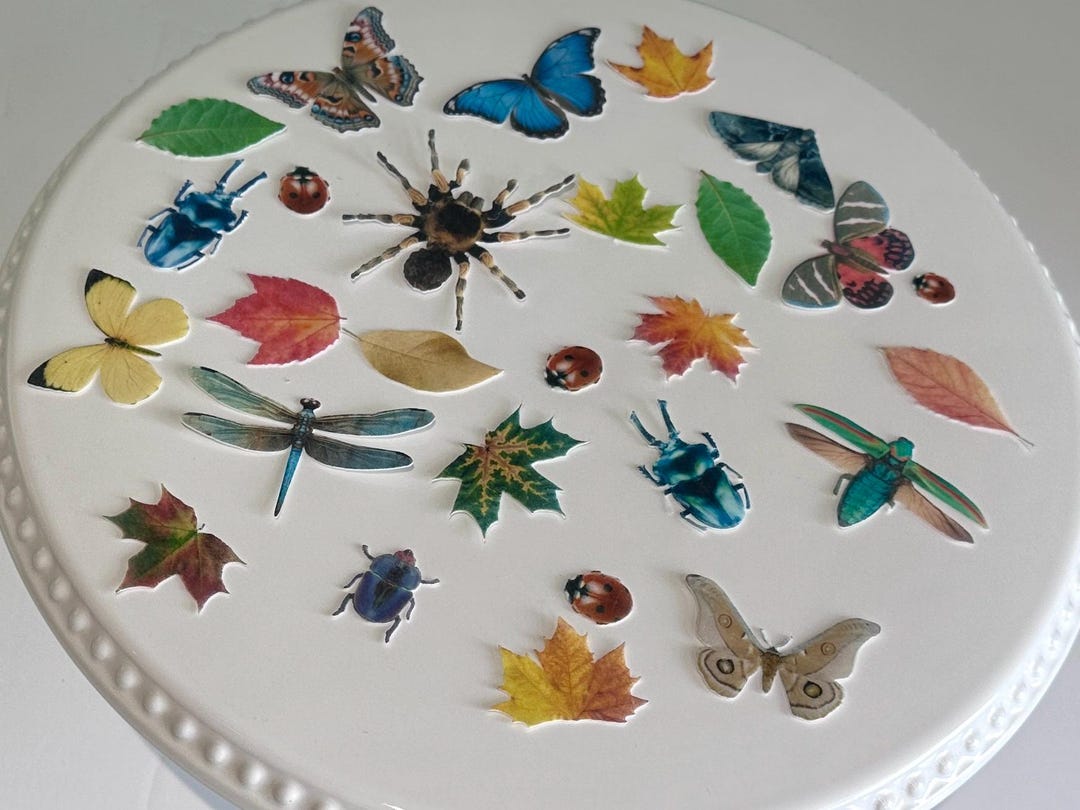 Edible Creepy Crawlies Wafer Topper - Garden Bugs, Moths, Spiders ...