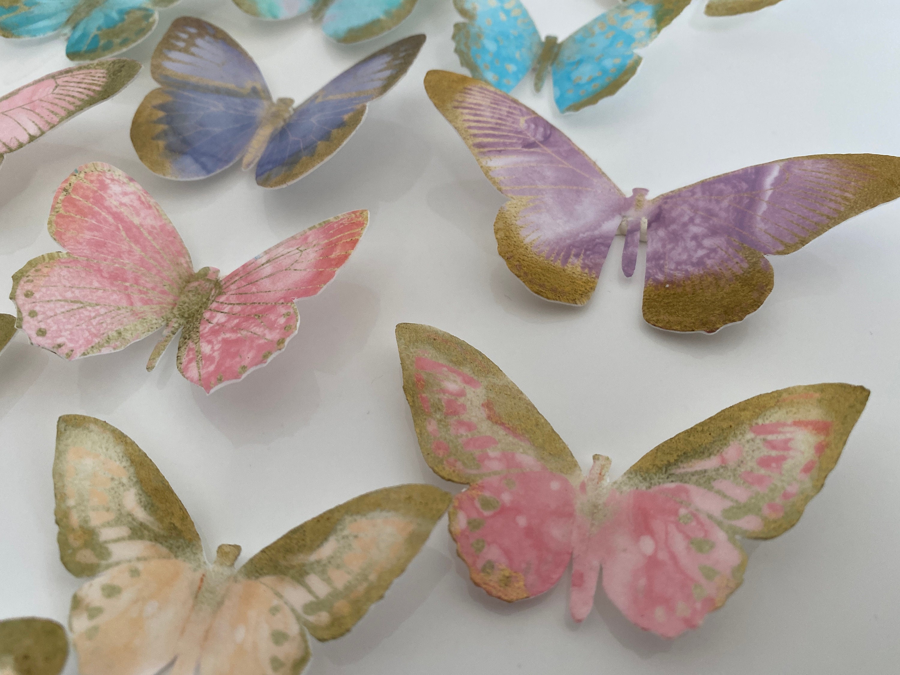 Pre-cut Wafer butterflies in pastel colours 12/18/24 | Etsy